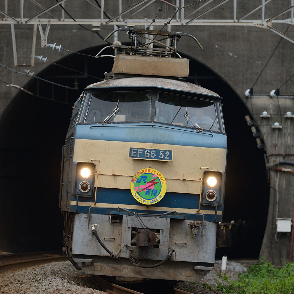 9/15～9/23の撮影 : ZAKKI2