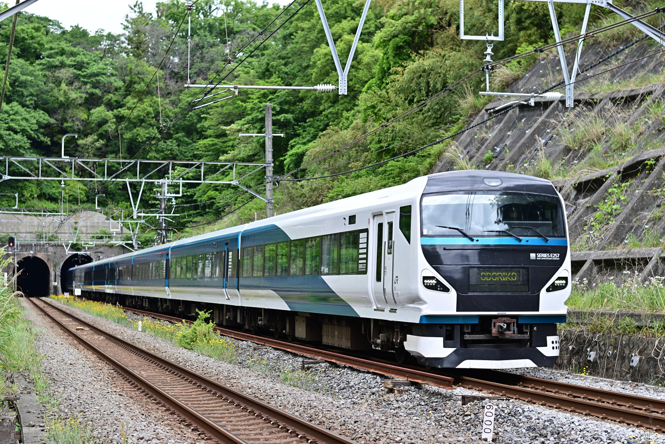 GW最終日 E257-E259-E261 : ZAKKI2