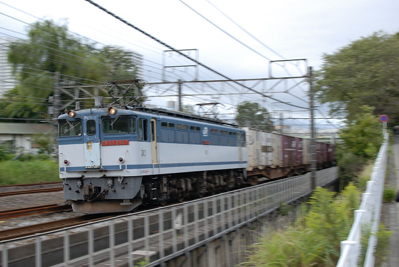 EF6636他 : ZAKKI2