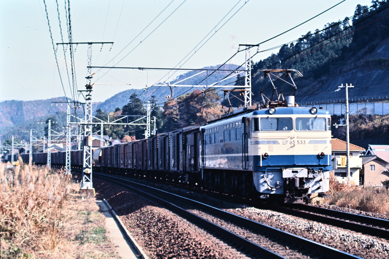 38年前の11月23日撮影 : ZAKKI2