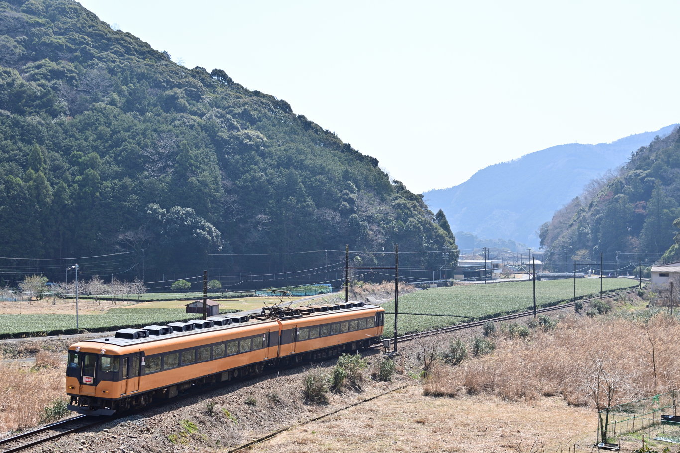 大井川SL(2025/3) : ZAKKI2