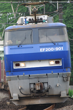 EF200-901 : ZAKKI2