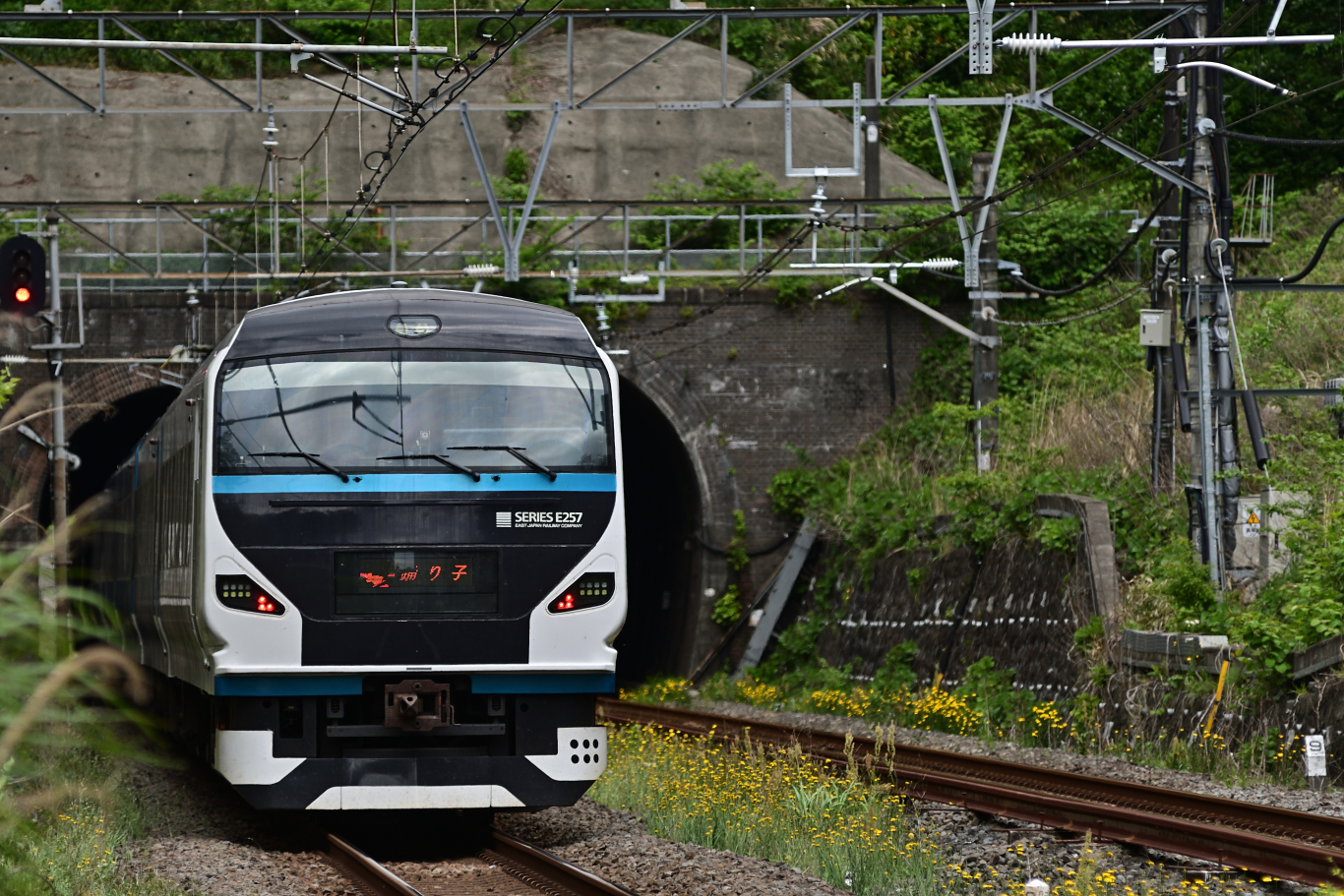 GW最終日 E257-E259-E261 : ZAKKI2