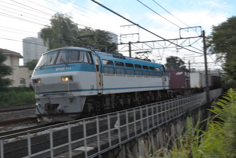 EF6636他 : ZAKKI2
