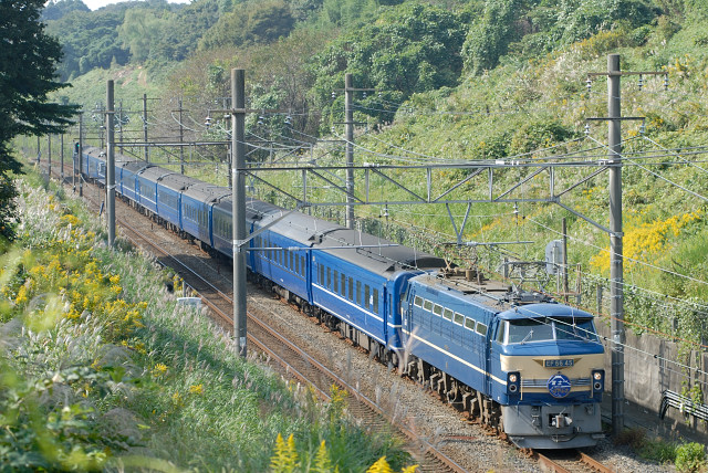 EF6645 : ZAKKI2