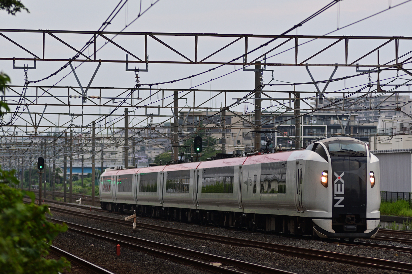 7/18 E257-E259-E261 : ZAKKI2