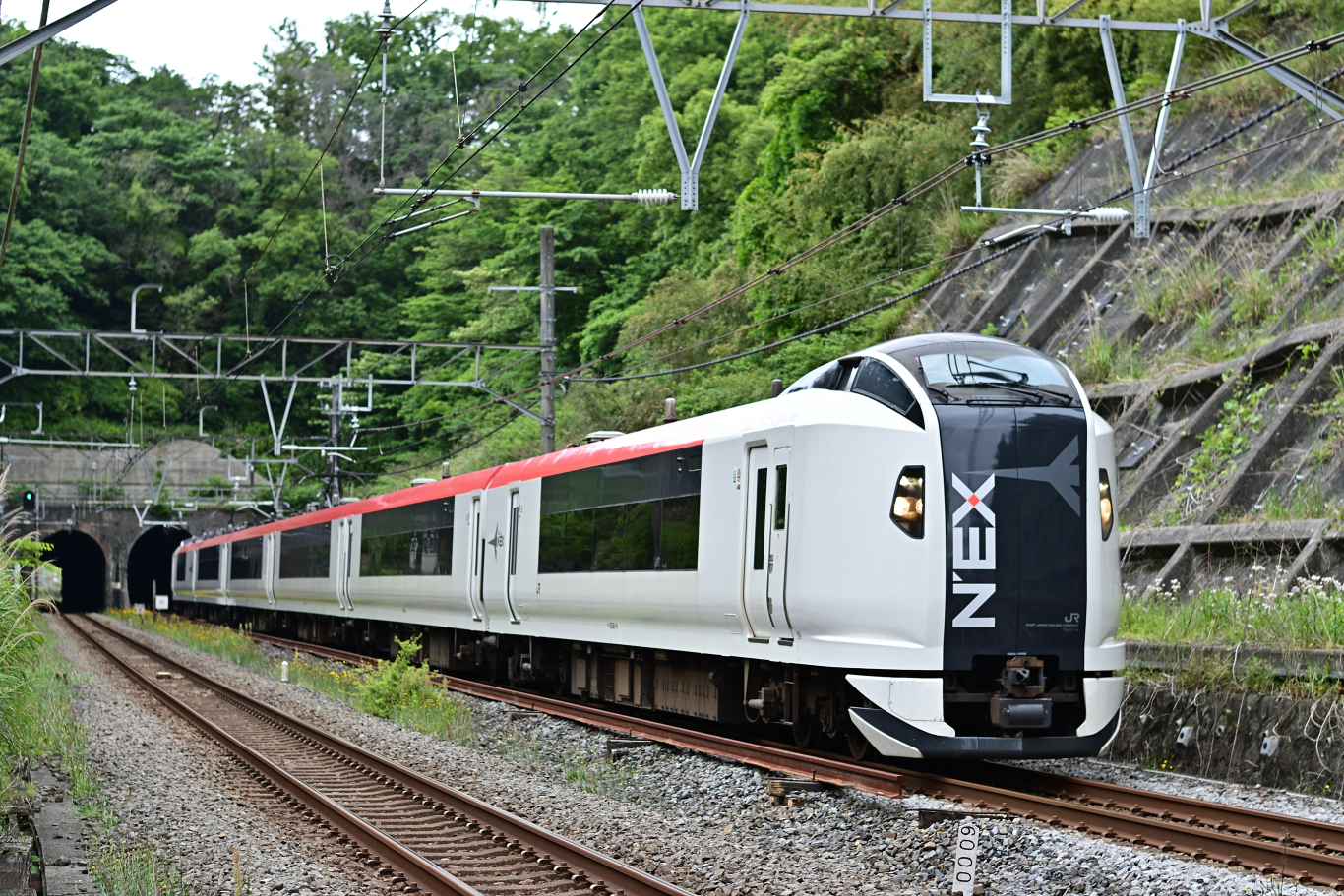 GW最終日 E257-E259-E261 : ZAKKI2