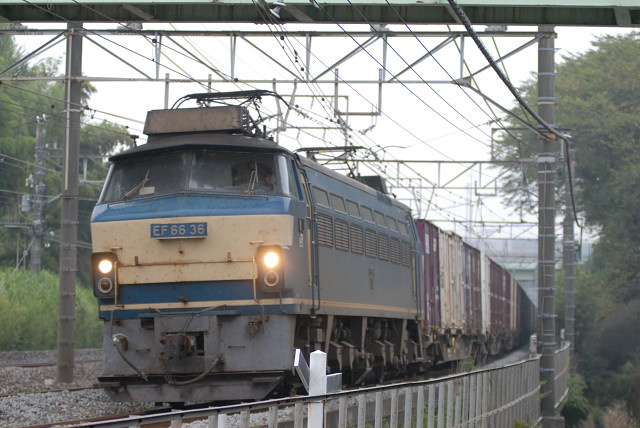 EF6636 : ZAKKI2