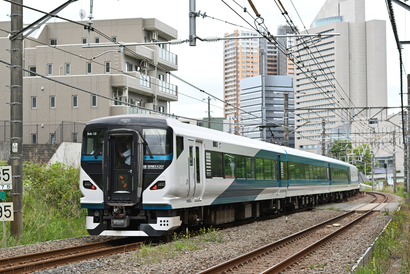 GW最終日 E257-E259-E261 : ZAKKI2