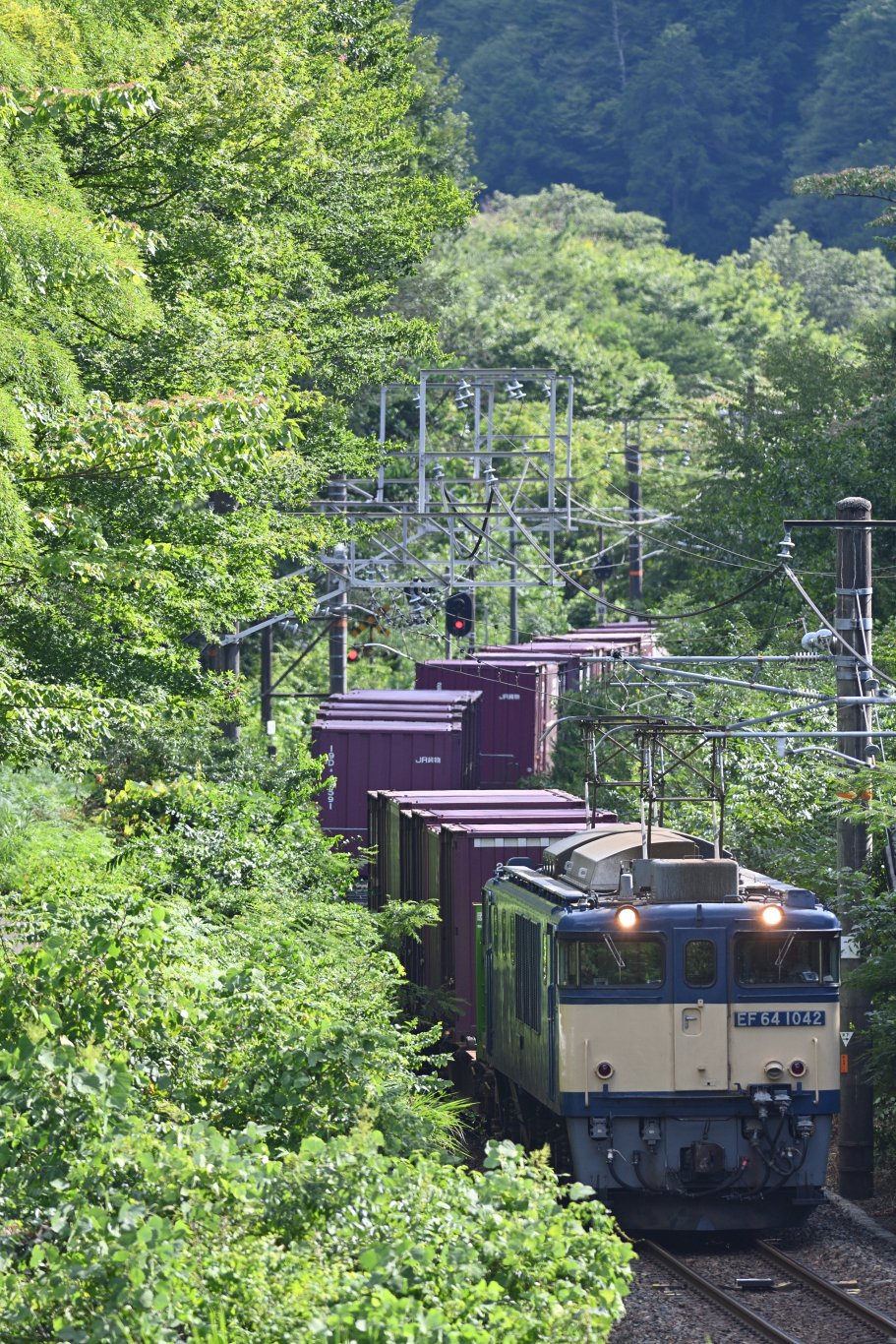 8/5 中央西線ロクヨン撮影 : ZAKKI2