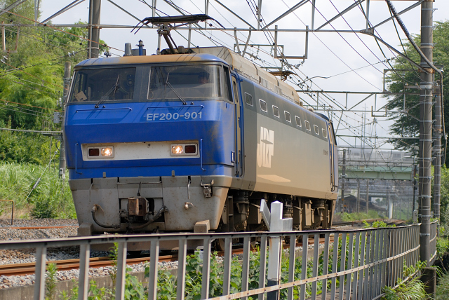 EF200-901 : ZAKKI2