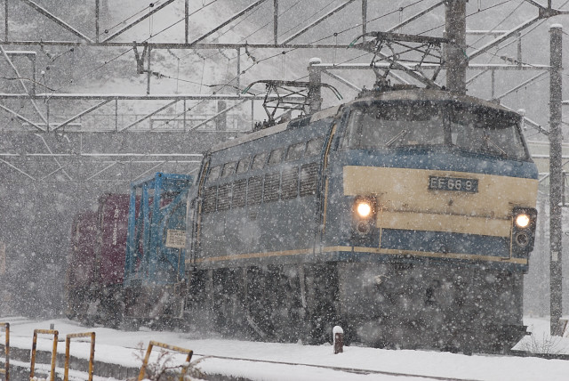 EF669＠雪中 : ZAKKI2