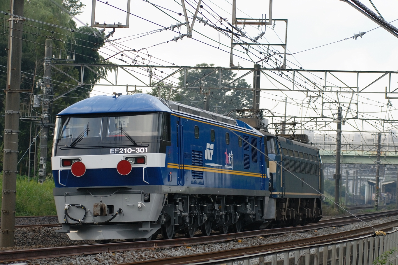 遠のくEF210コンプリート : ZAKKI2