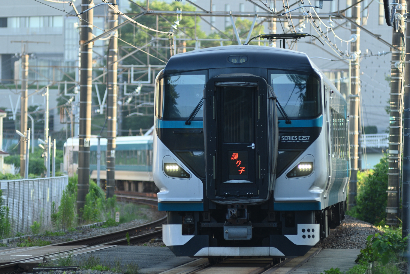 7/17 E257-E259-E261 : ZAKKI2