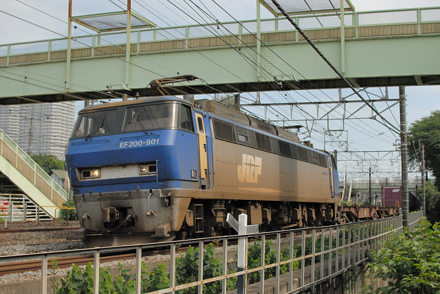 EF200-901 : ZAKKI2