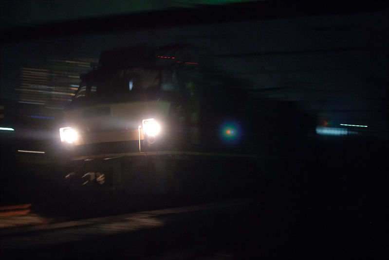 EF6636 上京 : ZAKKI2