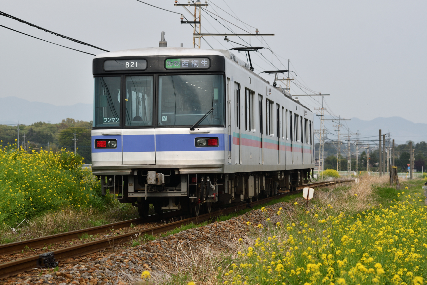 4/20 上毛電鉄撮影 : ZAKKI2