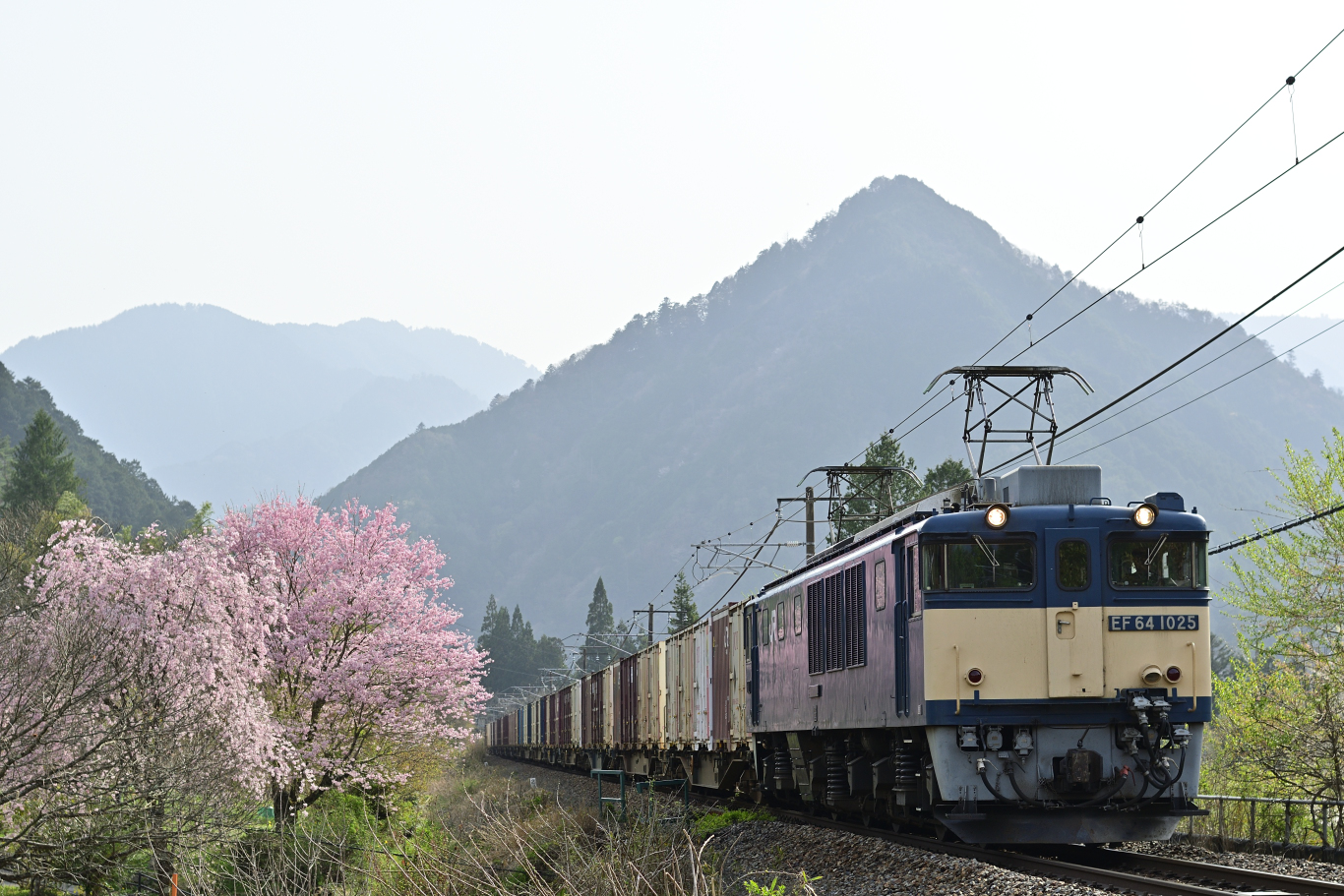 4/19 中央西線電機撮影 : ZAKKI2