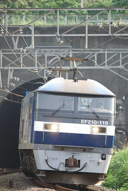 EF210-118 : ZAKKI2