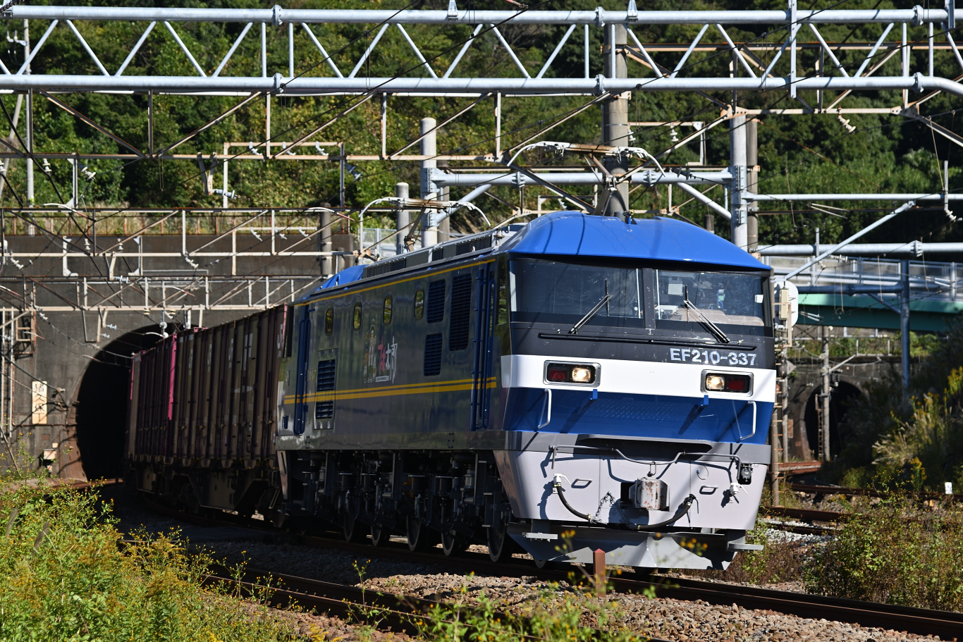 EF210 白桃・黄桃 : ZAKKI2