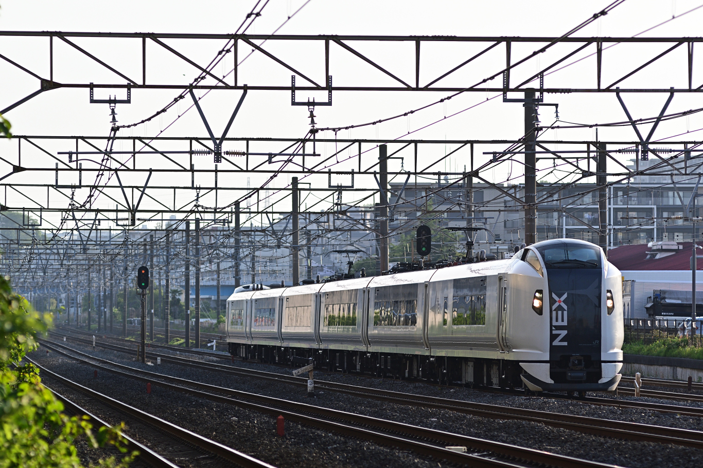 続・E257-E259-E261撮影 : ZAKKI2