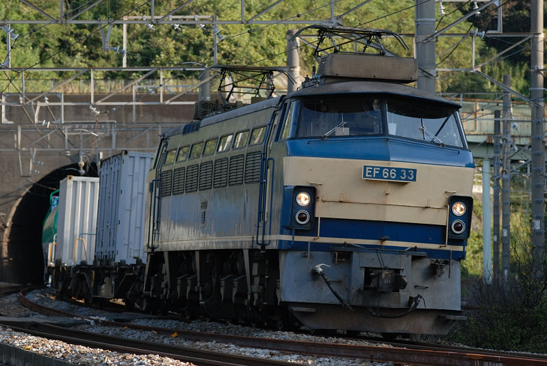 EF6636 /33 早朝HM… : ZAKKI2