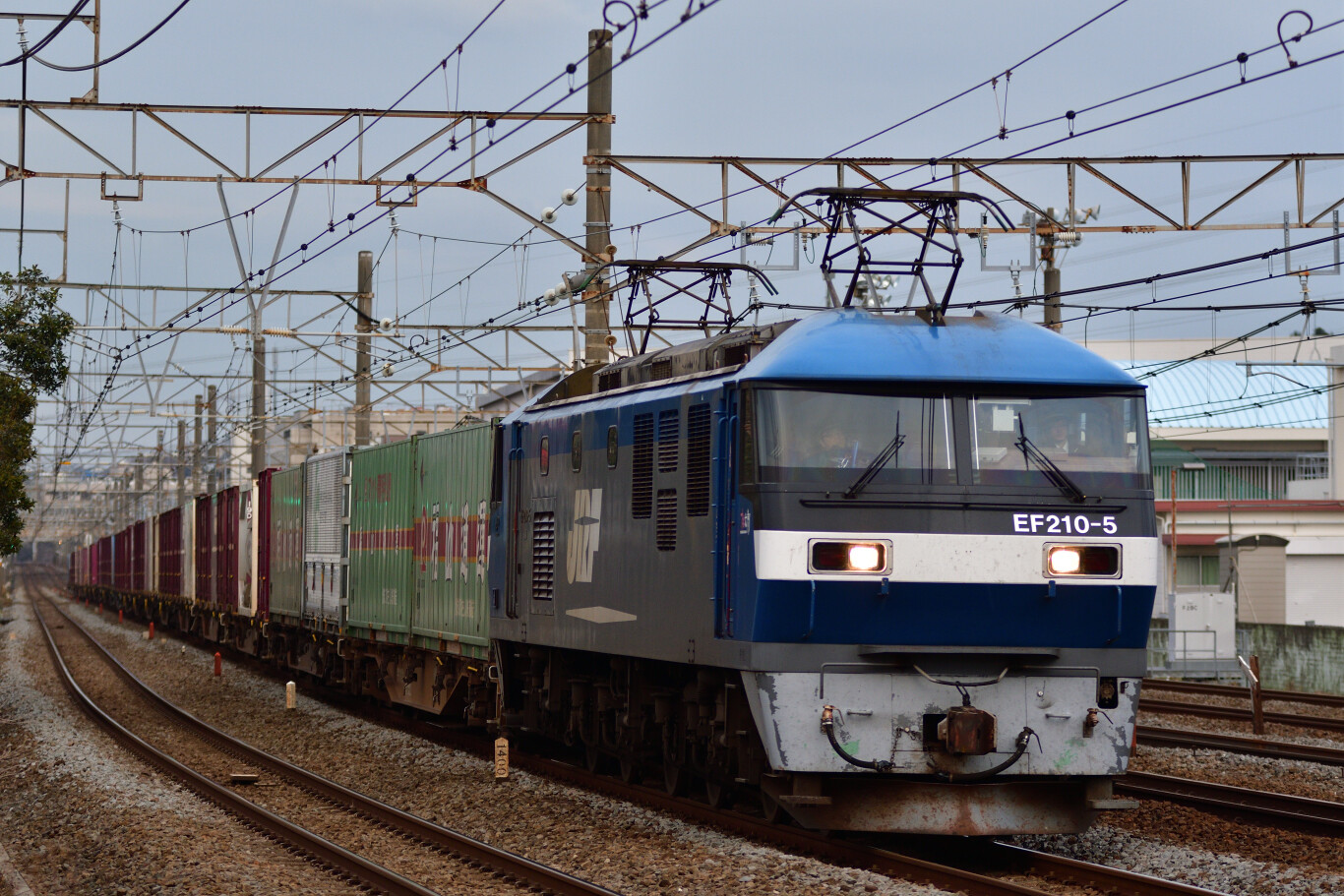 1/25 撮影 : ZAKKI2