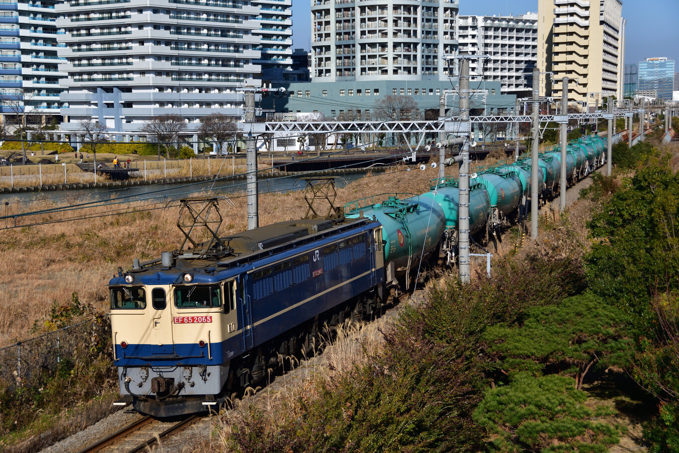 2019年撮り納め : ZAKKI2