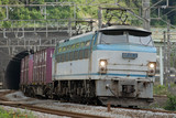 EF663 : ZAKKI2