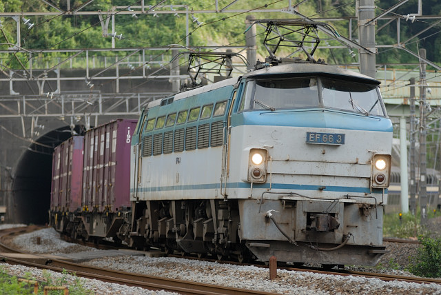 EF663 : ZAKKI2