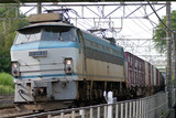 EF6629 : ZAKKI2
