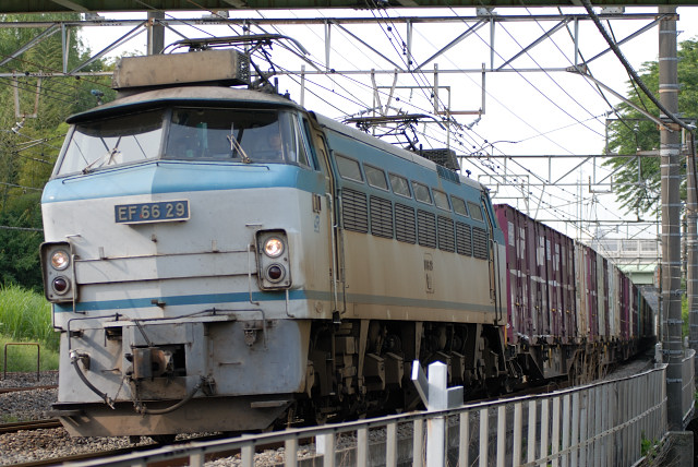 EF6629 : ZAKKI2