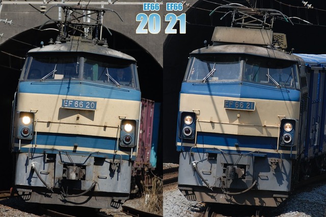 本年もよろしくお願いいたします : ZAKKI2