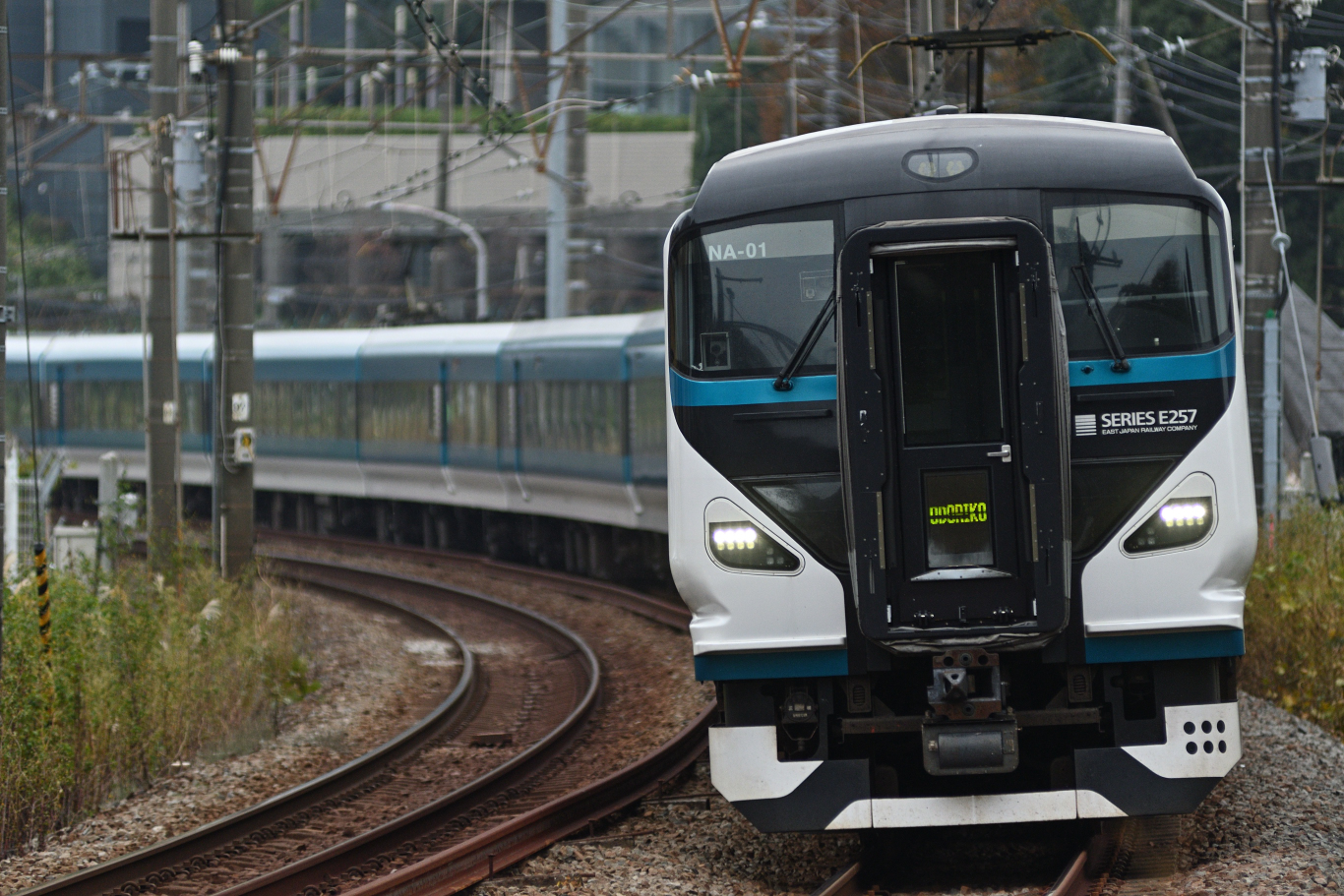 新世代E257系揃い踏み : ZAKKI2