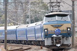 EF6646 : ZAKKI2
