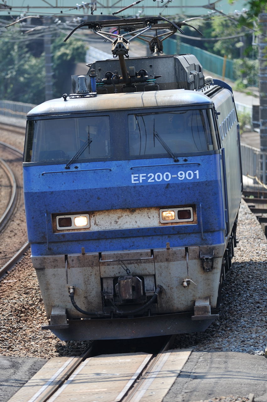 EF200-901 : ZAKKI2
