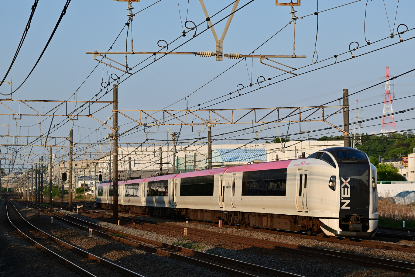 E257-E259-E261撮影 : ZAKKI2