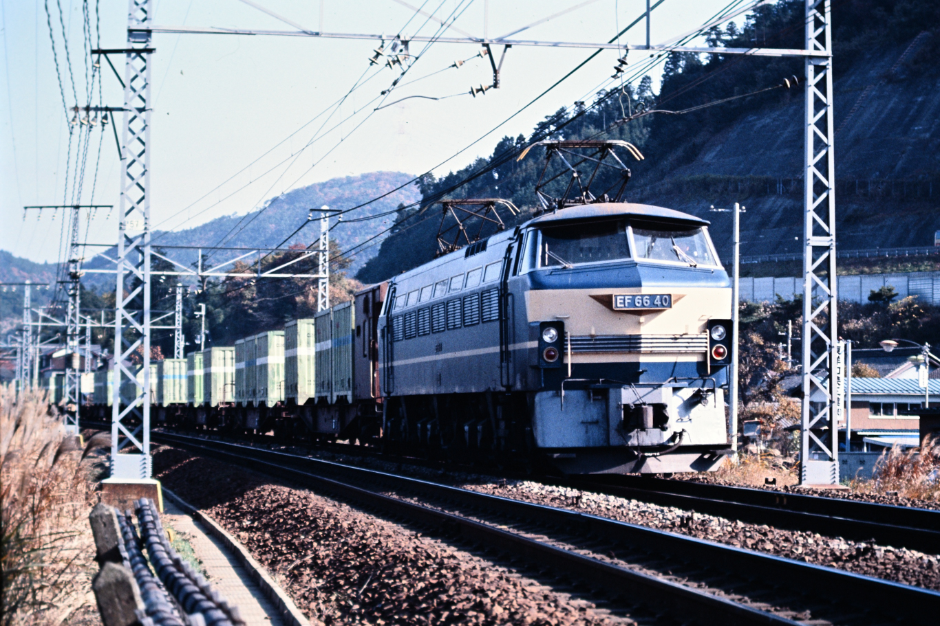 38年前の11月23日撮影 : ZAKKI2