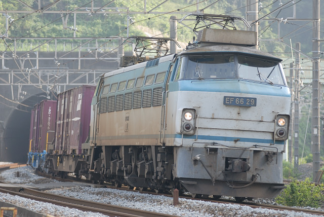 EF6629＠13日 : ZAKKI2