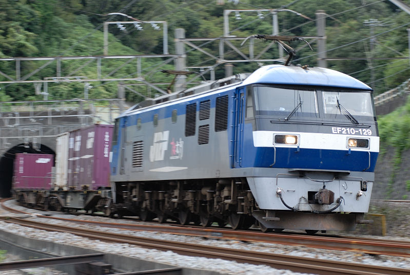 EF6636他 : ZAKKI2