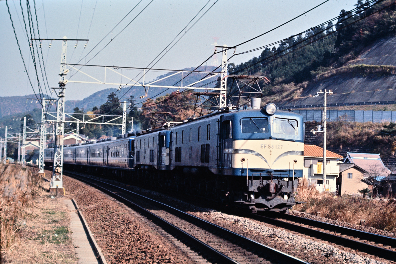 38年前の11月23日撮影 : ZAKKI2