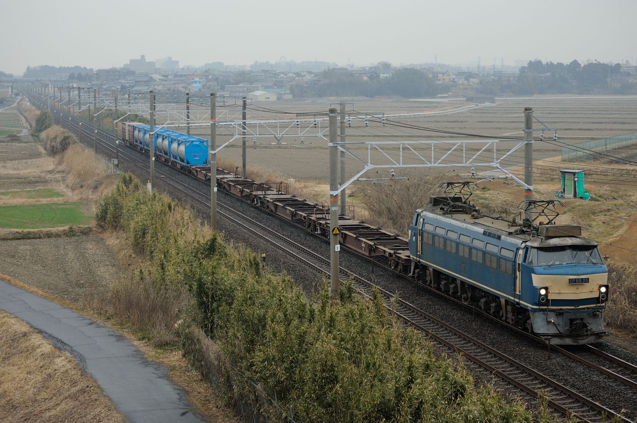 EF6626 (2/13撮影) : ZAKKI2