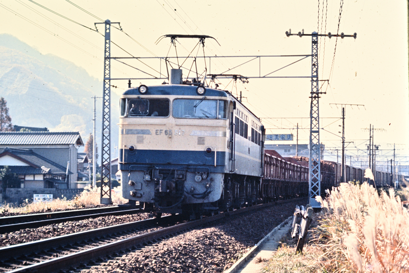 38年前の11月23日撮影 : ZAKKI2