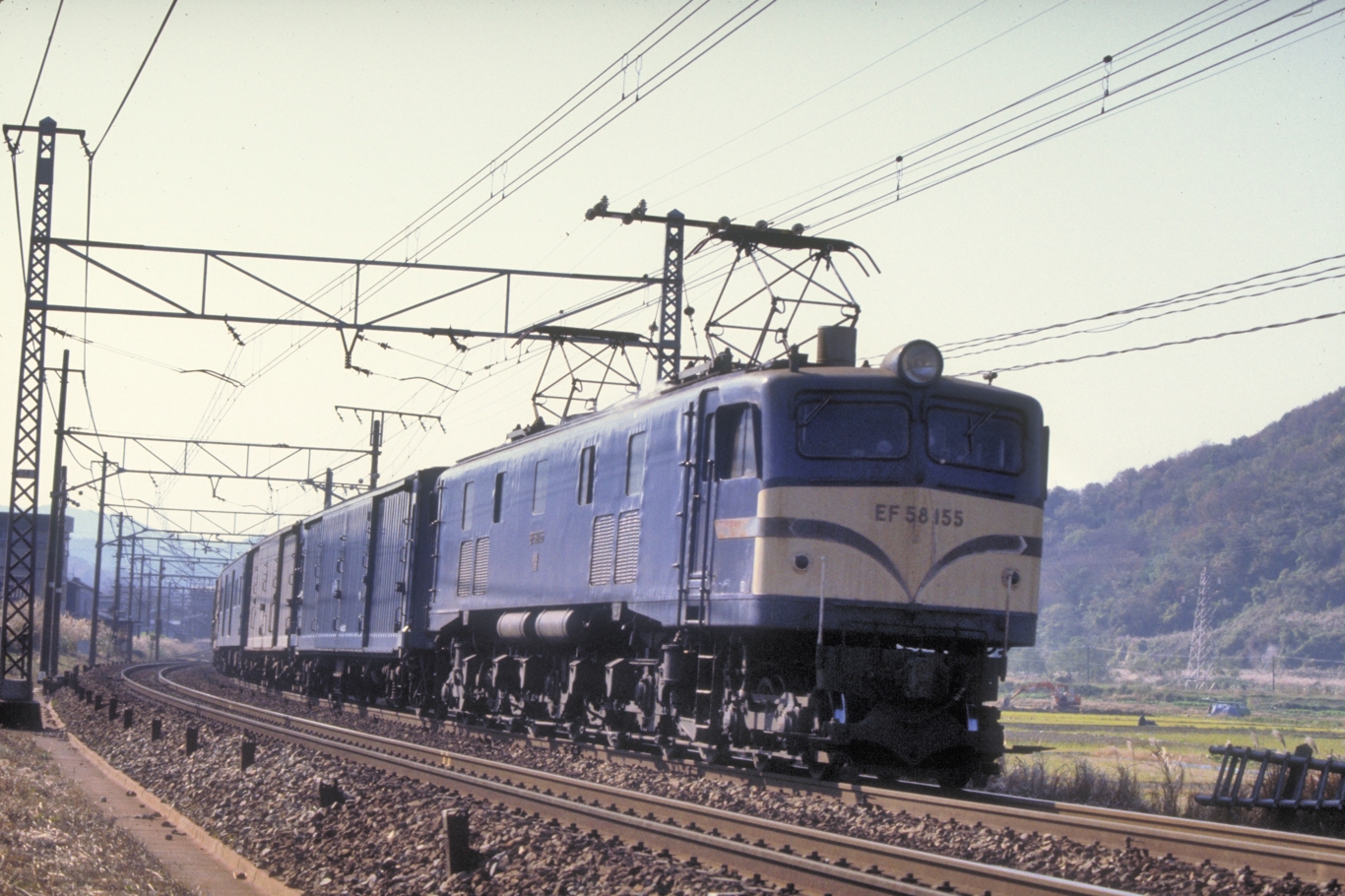 38年前の11月23日撮影 : ZAKKI2