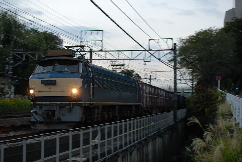 EF6636 /33 早朝HM… : ZAKKI2