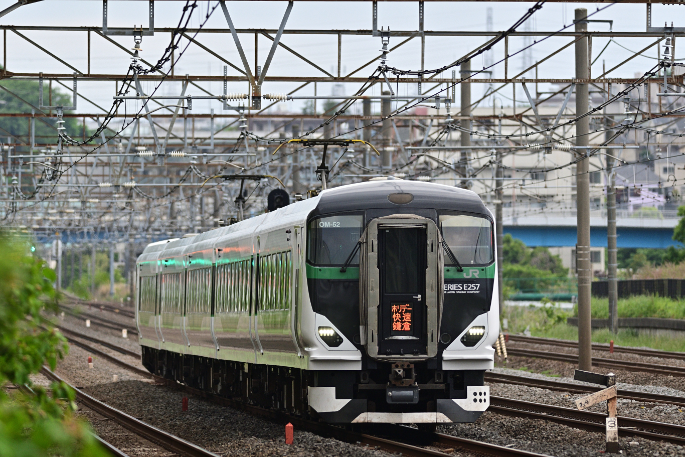 GW最終日 E257-E259-E261 : ZAKKI2