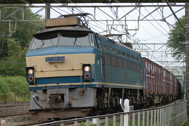 EF6636 : ZAKKI2