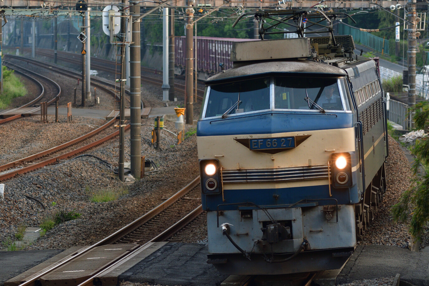 2019年撮影振り返り : ZAKKI2