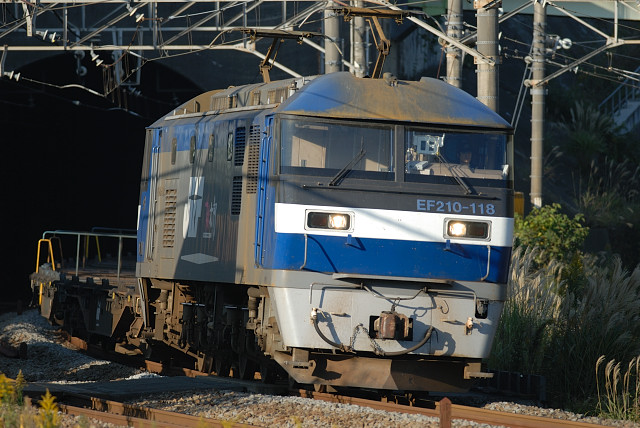 EF210-118 : ZAKKI2