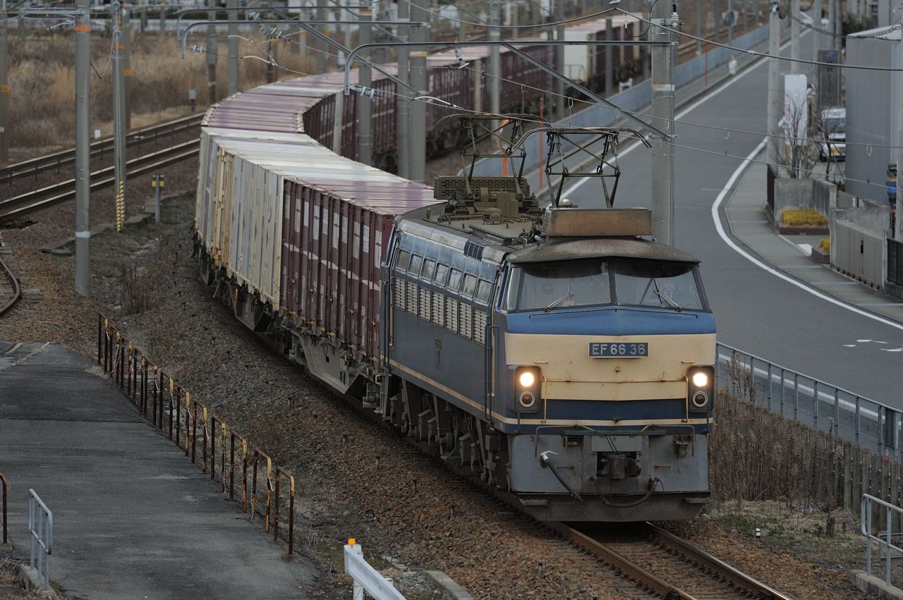 今日は稲沢へ(2/14撮影) : ZAKKI2